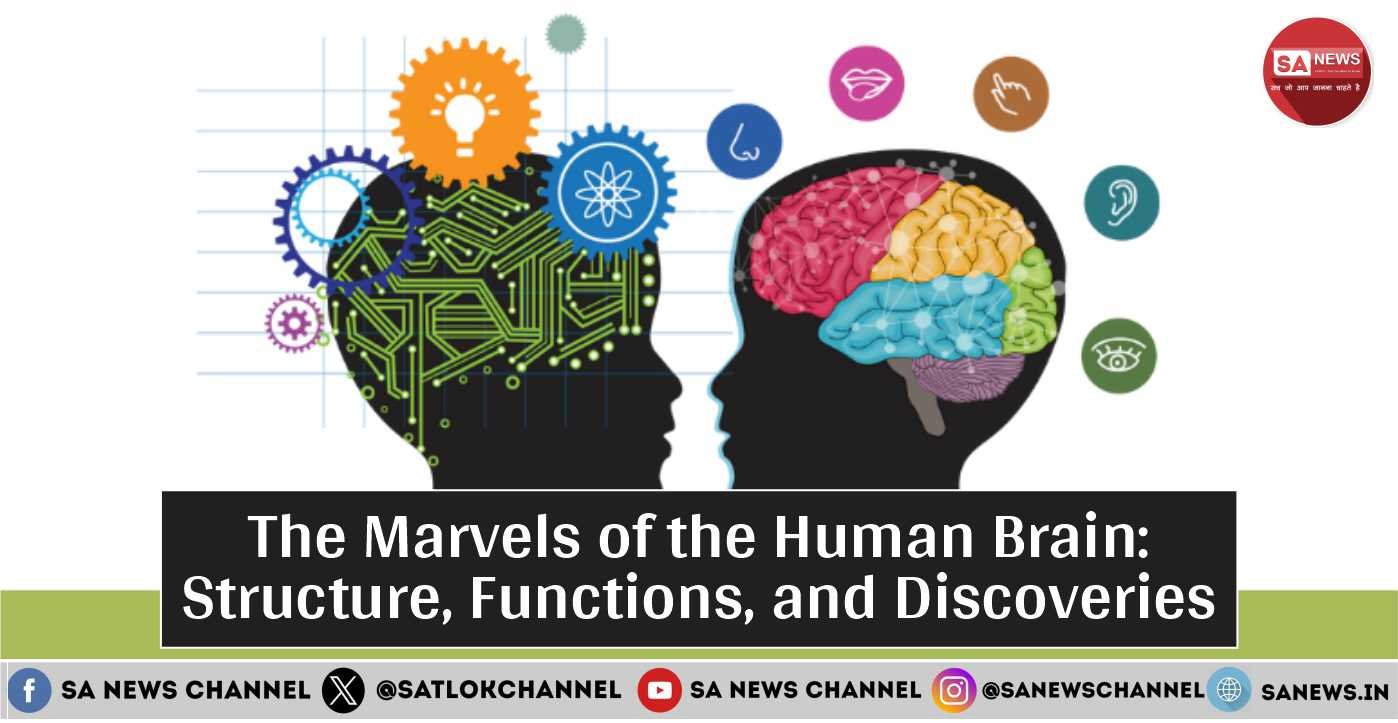 The Marvels of the Human Brain: Structure and Functions